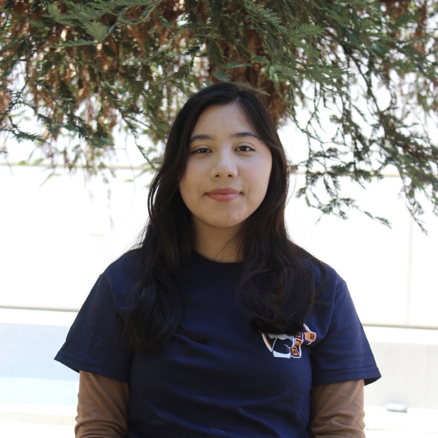 Executive Board Officer | CSUF - Child and Adolescent Studies