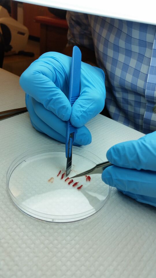 Our Photos | CSUF - Kinesiology