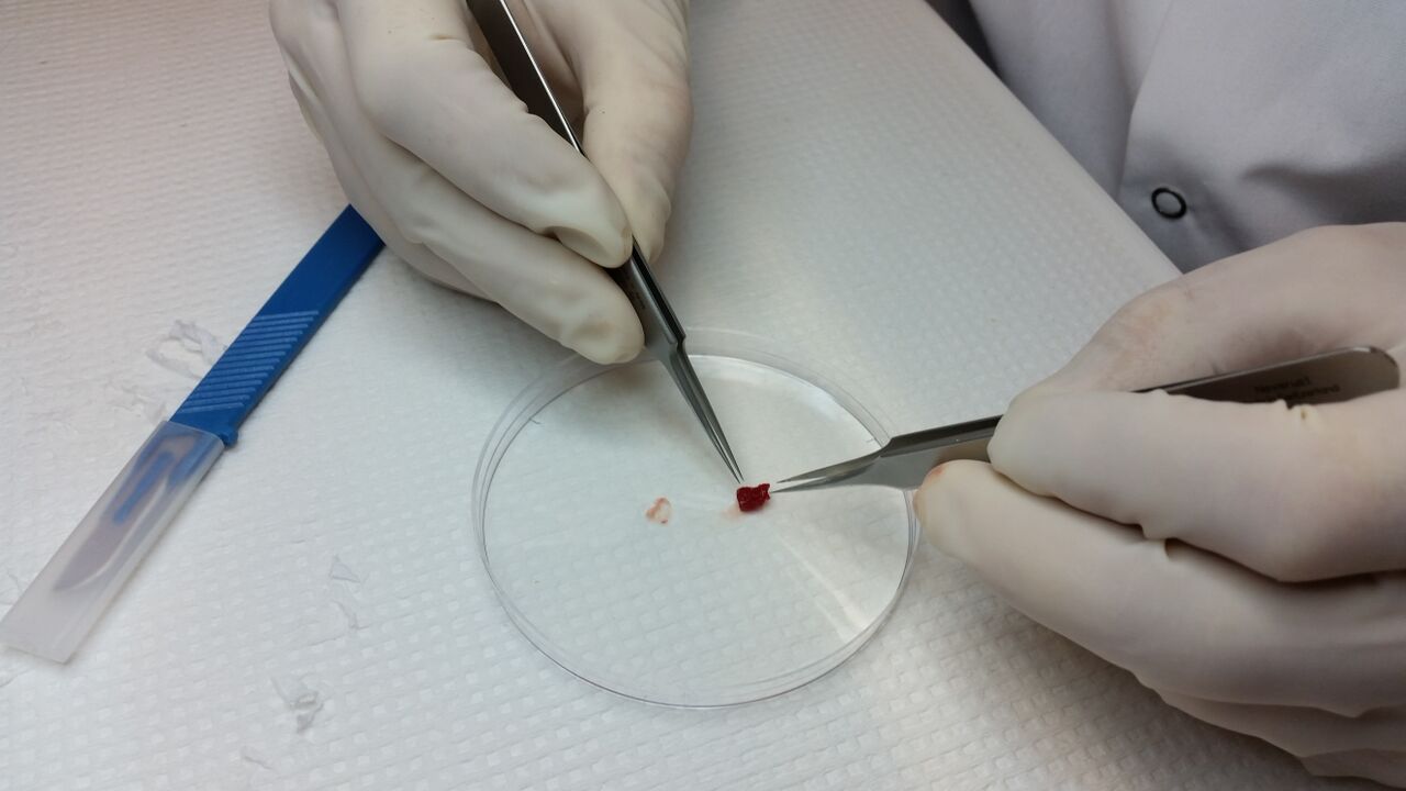 Our Photos | CSUF - Kinesiology