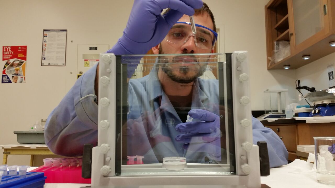 Our Photos | CSUF - Kinesiology