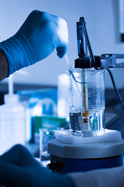 Our Photos | CSUF - Kinesiology